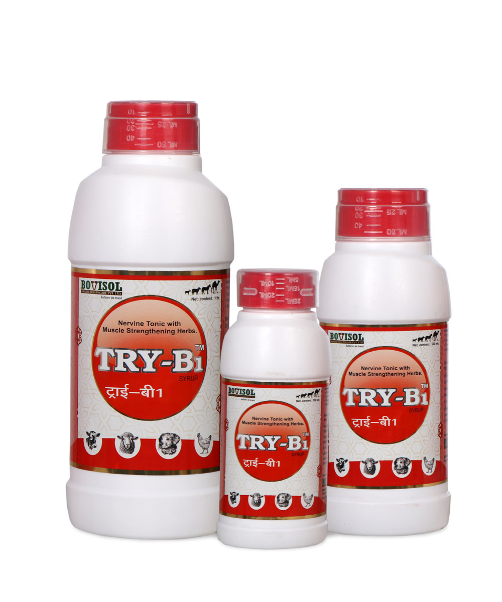 Try B1 Syrup